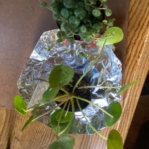 Bright Brass Engraved Plate Engraving Customized Metal Name - Etsy