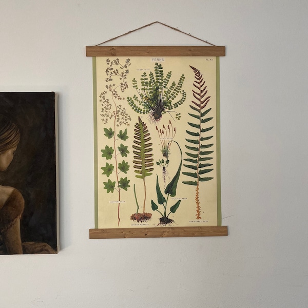 Ferns Print | Ferns Poster | Ferns Wall Art | Botanical Print Vintage ...