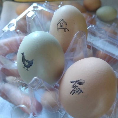 Choose 2 Egg Stamps Mini Egg Stamp Homesteading Farm Stamp Egg Marking ...
