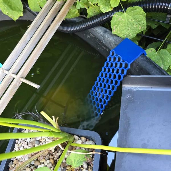 Monarch Butterfly Raising Kit- Butterfly Raising Kit, Milkweed Floral ...