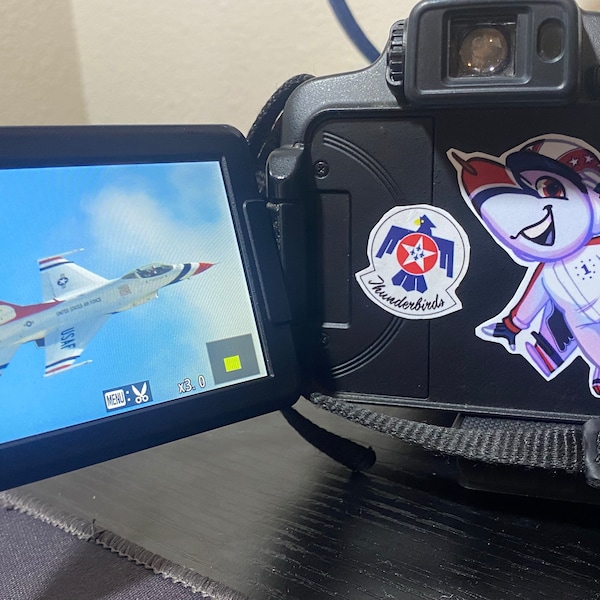 Chibi Dove 1.25 Inch Button Pin- Mourning Dove/luzon Bleeding Heart ...