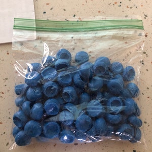 WAX Blueberry Embeds Unscented Blueberry Wax Embed Embeds - Etsy