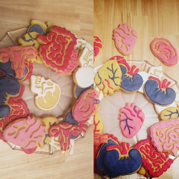 Anatomy Cookie Cutter Set - Medical Student Gift Anatomical Heart ...