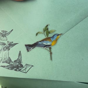 Hawk Hunting 1765I Bird Rubber Stamps Unmounted, Cling, Mounted Stamp ...