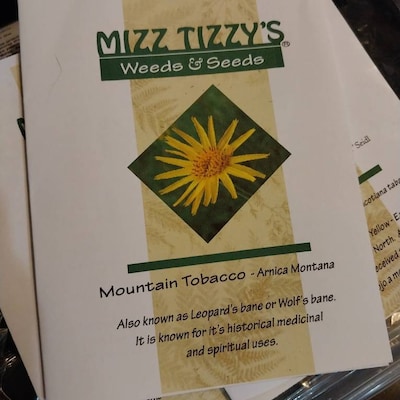 Cherokee, North Georgia Candy Roaster Squash . Cucurbita Maxima - Etsy