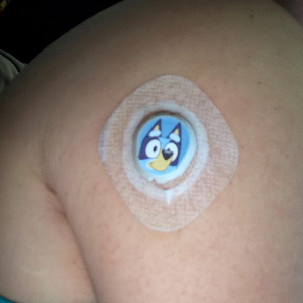 Dexcom G7 Transmitter Stickers (10 Count), Fun CGM Stickers to ...