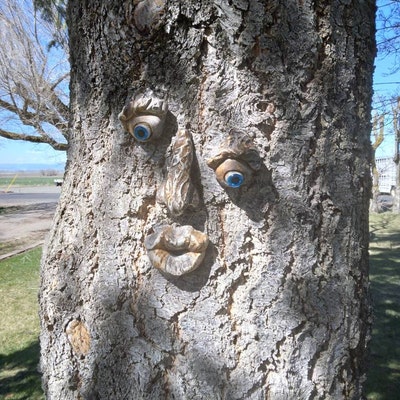 Forrest Stump Concrete Tree Face, Birthday Gifts, Gardeners Gift, Glass ...