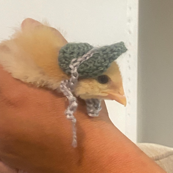 Crochet Pattern, Bonnet for Chickens, Sunday Bonnet, Little Red Hen Hat ...