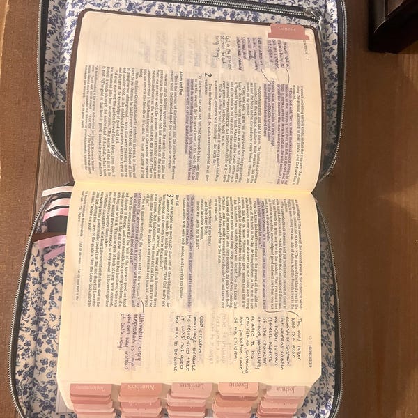 Planner Tote Bag - Erin Condren Happy Plum Paper Planner Zippered Case ...