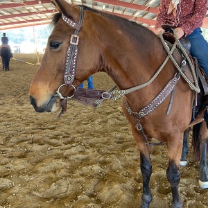 Blue Dragon Tack Set - Etsy