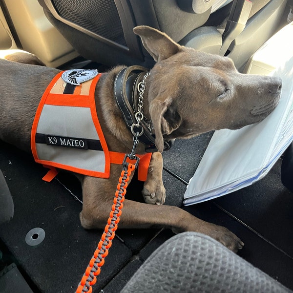 Custom Dog Vest | Adjustable Working Dog Gear, Dog Training, Handmade ...