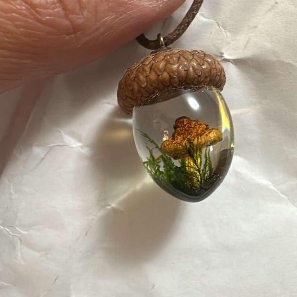 Natur Pendant, Botanic Pendant, Acorn Pendant, Acorn Mushroom and Moss ...