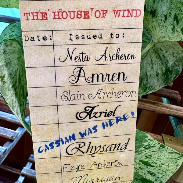 ACOTAR House of Wind Library Card Bookmark | A Court of Thorns and ...