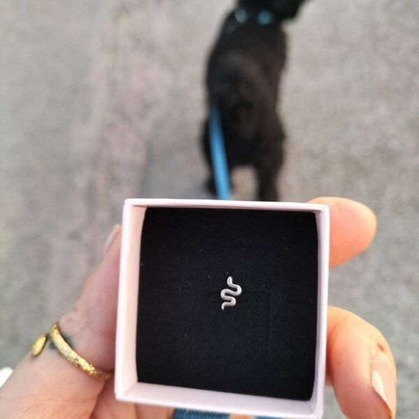 Small Snake-shaped Stud Earrings - Etsy