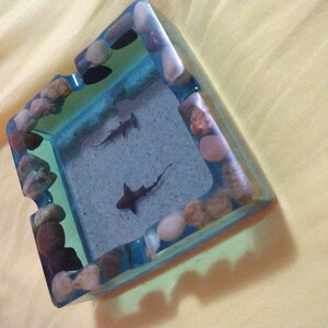 Shark Week Ash Tray / Jewelry Holder - Etsy