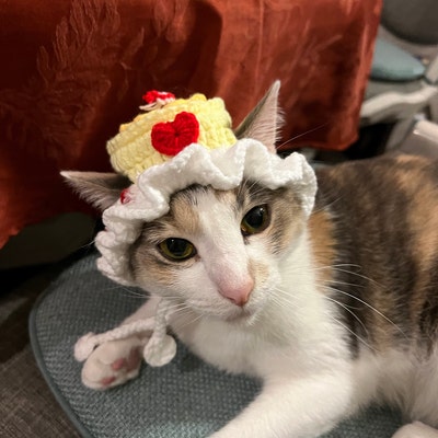 Pink Knitted Yarn Pig Hat for Cat or Small Animal new Design - Etsy