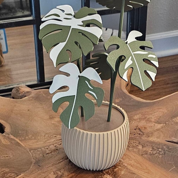 Coaster Plant Set for Drinks Decoration Plant Variegated Leaves ...