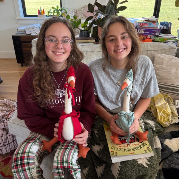 Silly Goose Toy, Goose Plush, Goose Nursery, Mother Goose, Stuffed ...