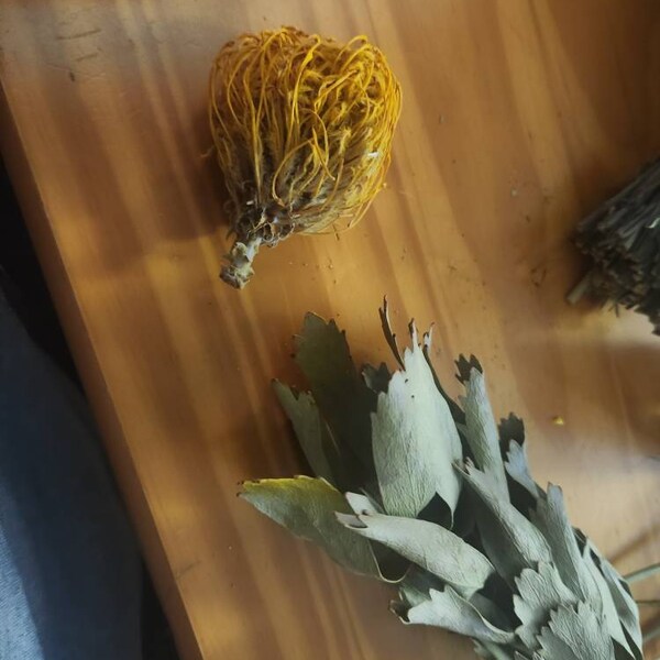 Preserved Lycopodium Grass Bundledried Grass Bunchdiy Craft Grass ...