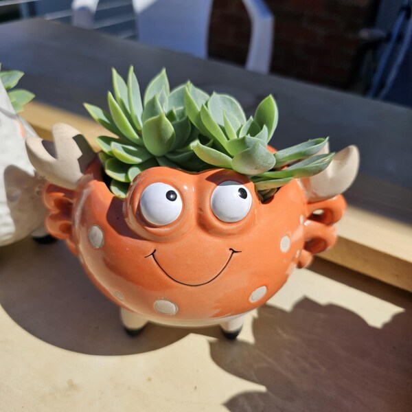 Hamburger Cat Planter Pot | Funny Novelty Planter | Gift for Cat Mum ...