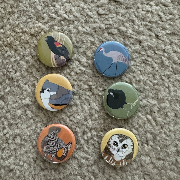 Mix and Match 24 Bird Pins: 100 Designs US Native Wild Songbirds ...
