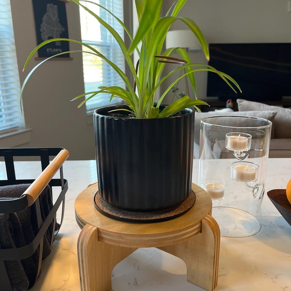 4 Inch Tall Wooden Indoor Plant Stand - Riser - Etsy