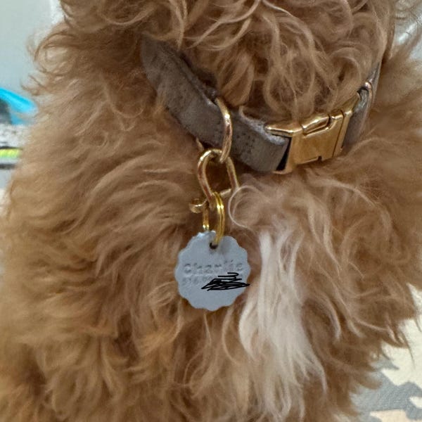 Christian Wall Art, Modern Christian Art, Scripture Wall Art, Bible ...