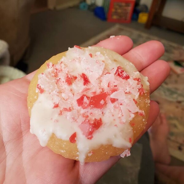 WAX Candle Embeds 1 Pound Watermelon Chunks Candle Making Supplies Wax ...