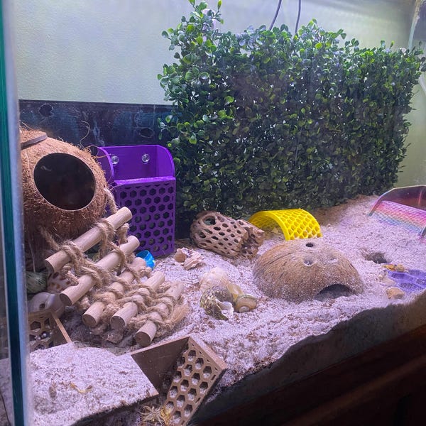 Bottom Dweller Underground Tunnel Aquarium Aquascape Hideout Cave Fish ...