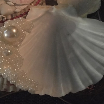 Mermaid Talisman, Sea Ocean Real Shell Bead Chain Sea Terrarium ...