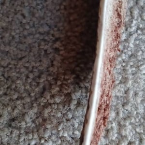 3 Pack Medium Farm Raised Elk Antler Dog Chews. (split) - Etsy