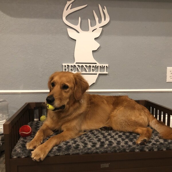 Buck Cut Out, Buck Sign, Deer Sign, Personalized Name Sign, Wall ...