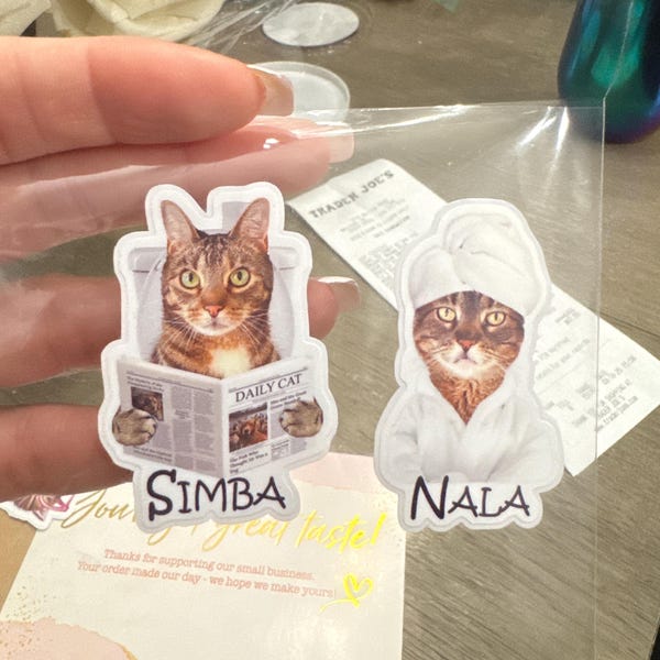 Birthday Girl Sticker Sheet, Fashion Aesthetic Stickers, Happy Birthday ...