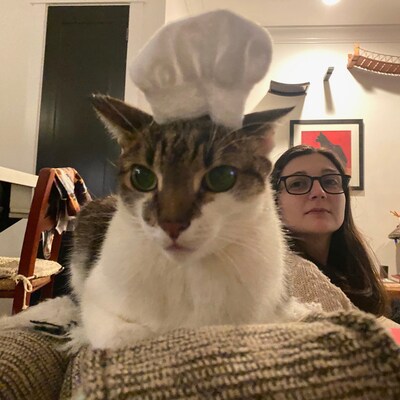 Chef Hat for Cats - Etsy