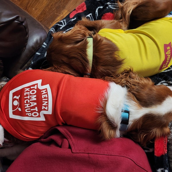 Bam Bam Cut Files and Pattern | Cricut | Silhouette Cameo | Svg Cut ...