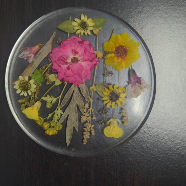 Natural Flowers Coasters,colorful Pressed Real Flowers Outdoor Coasters ...