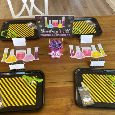 Girls Science Party Decorations Girls Science Birthday Decorations STEM ...