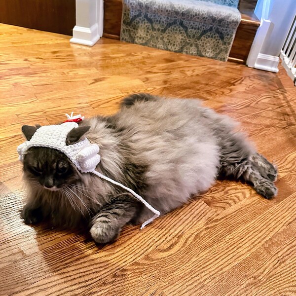 Powdered Wig, Hats for Cats, Barristers Wig, Judge Wig, Pet Costumes ...