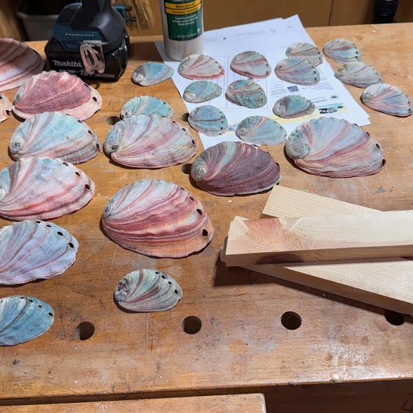 Red Abalone Art, Shell Wall Art, 3D Shell Art, Coastal Shell Art ...