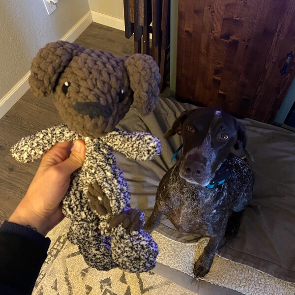 Dillon the Armadillo Crochet PATTERN | Low Sew Crochet Amigurumi ...