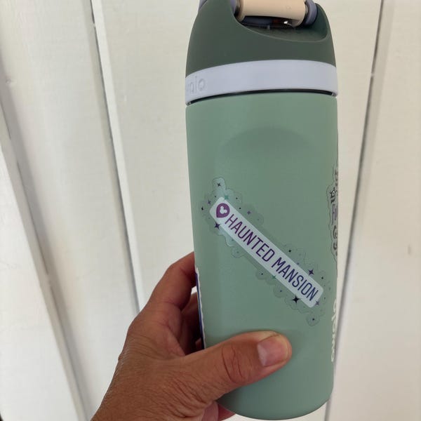 Reading Experiment 626 Transparent Disney Laptop Stickers/ Lilo and ...