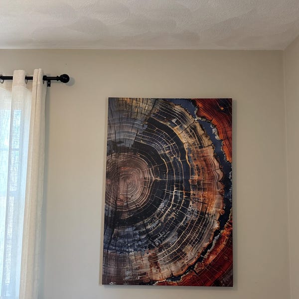 Tree Ring Framed Wall Art, Abstract Colorful Tree Ring Wall Decor ...