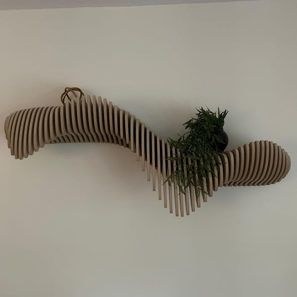 Parametric Shelf, New Design Large Wall Decor, Living Room Office ...