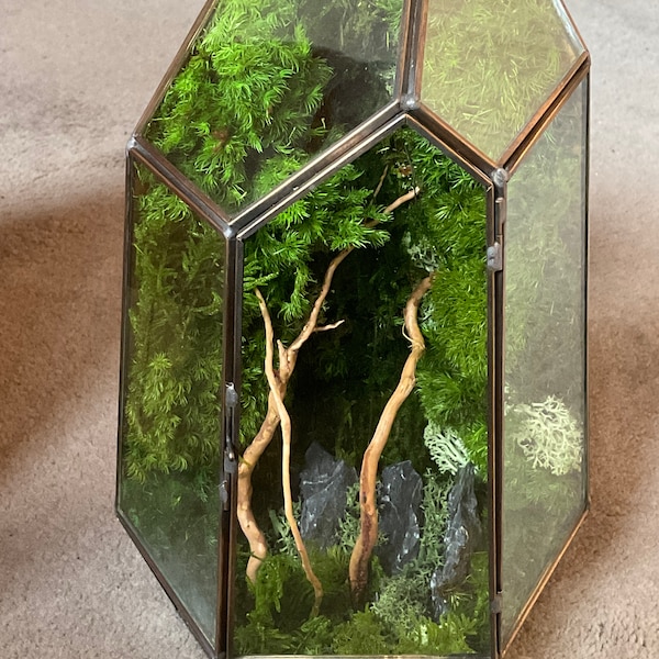 Geometric Terrarium | Prism | Desktop Mossarium Centrepiece | Preserved ...