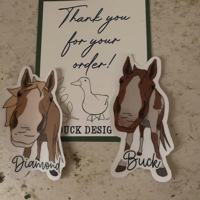 Customizable Animation Horse Sticker Personal Decal Cartoon Horse Gift ...