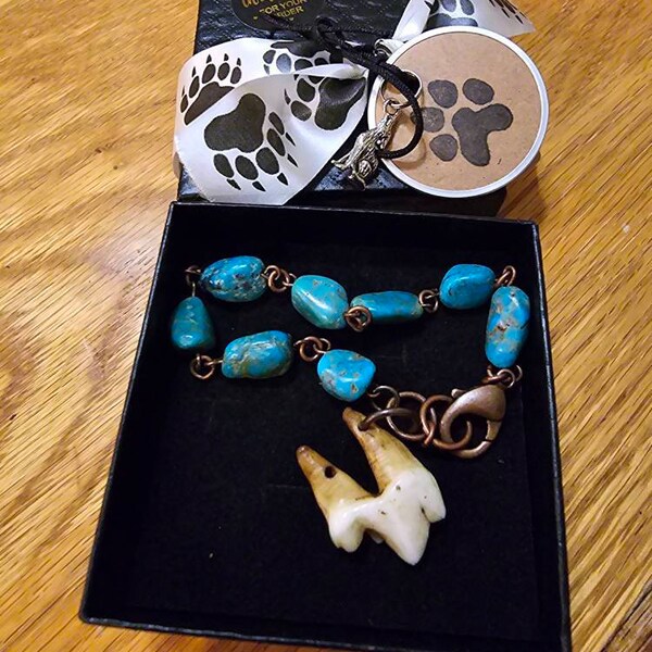 Real Animal Bone Necklace / Coyote Fang Necklace / Fox Tooth, Alligator ...