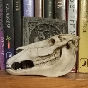 Tigrex Skull monster Hunter - Etsy