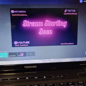 Pastel Weed Twitch Overlay for Live Streaming Premade Twitch Overlay ...
