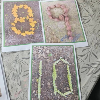 Nature Number Cards 0-10 Printable EYFS Resource Montesssori Reggio ...