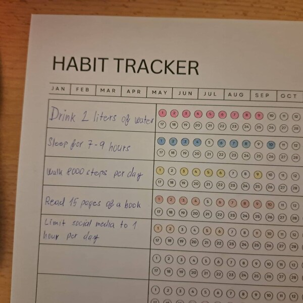 Medication Tracker Printable & Digital – Fillable PDF, Editable Canva ...